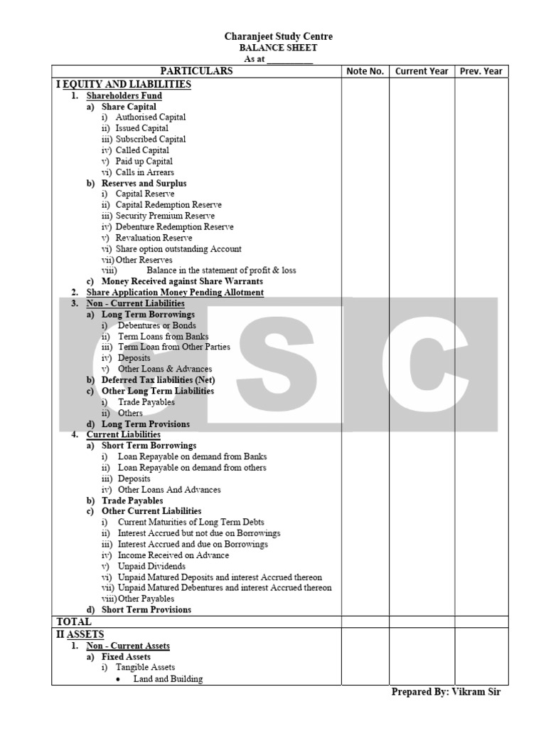 Balance Sheet Format | PDF | Investing | Financial Capital