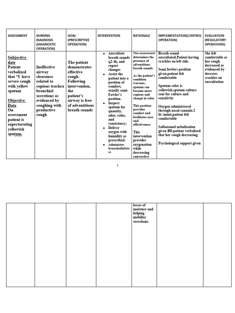 CARE PLAN Format - Ineffective Airway | PDF | Cough | Respiratory Tract