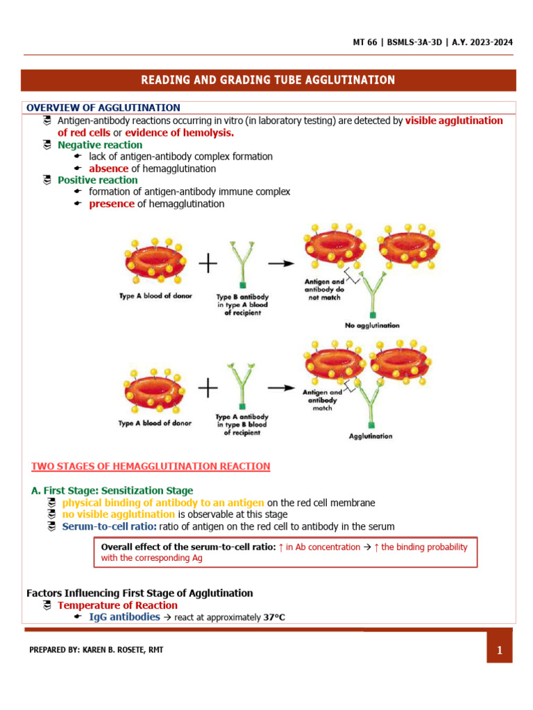Lab 2-Reading and Grading Tube Agglutination | PDF | Antibody | Red ...