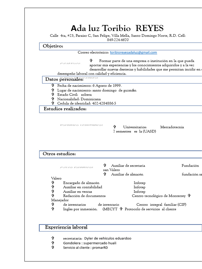 Ada Luz Curriculum | PDF | Crecimiento personal y profesional | Derecho