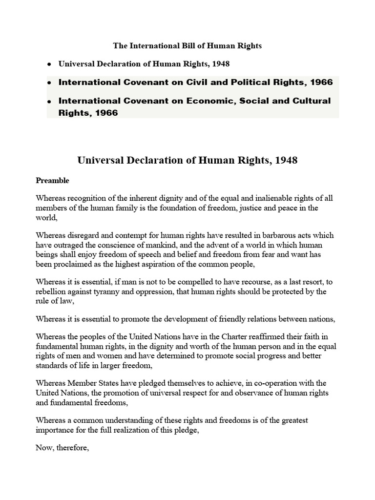 24 - The International Bill of Human Rights | PDF | Detention ...