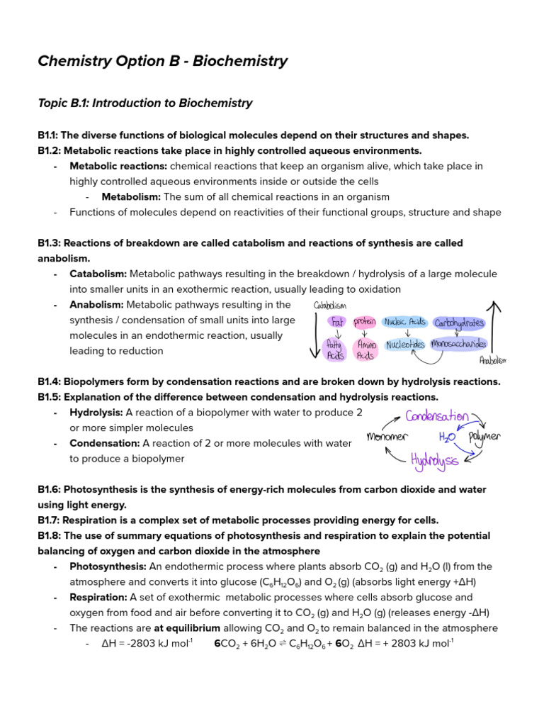 SL Option B Biochemistry | PDF | Lipid | Fatty Acid