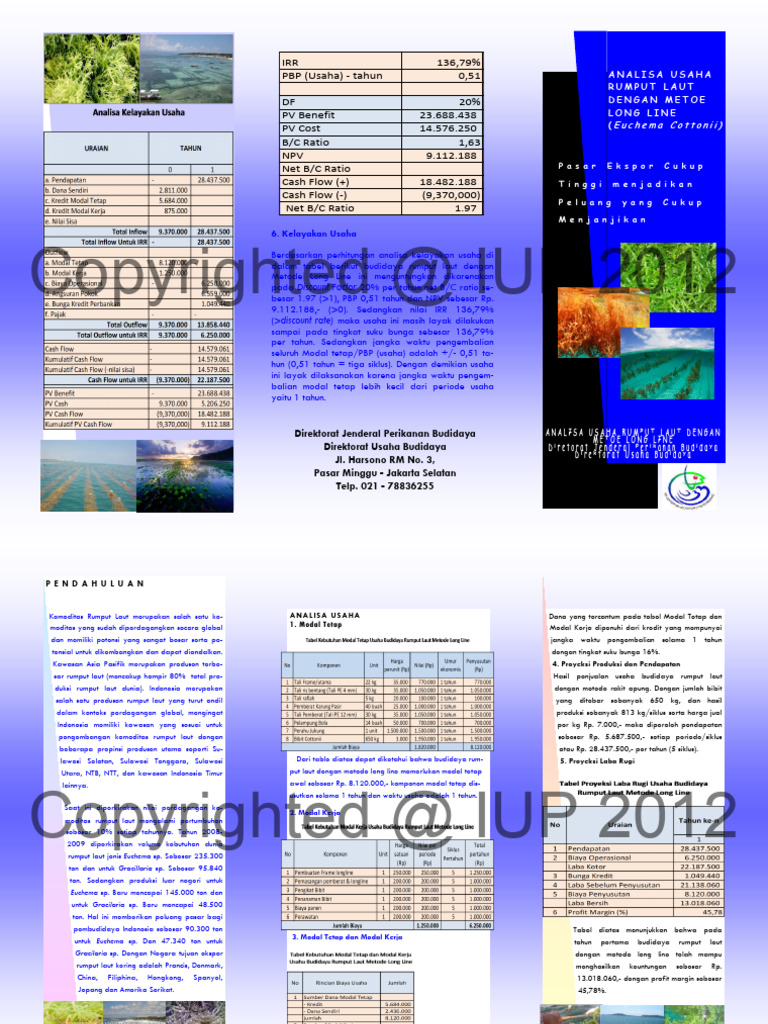 Leaflet Analisa Usaha Rumput Laut Metode Longline | PDF