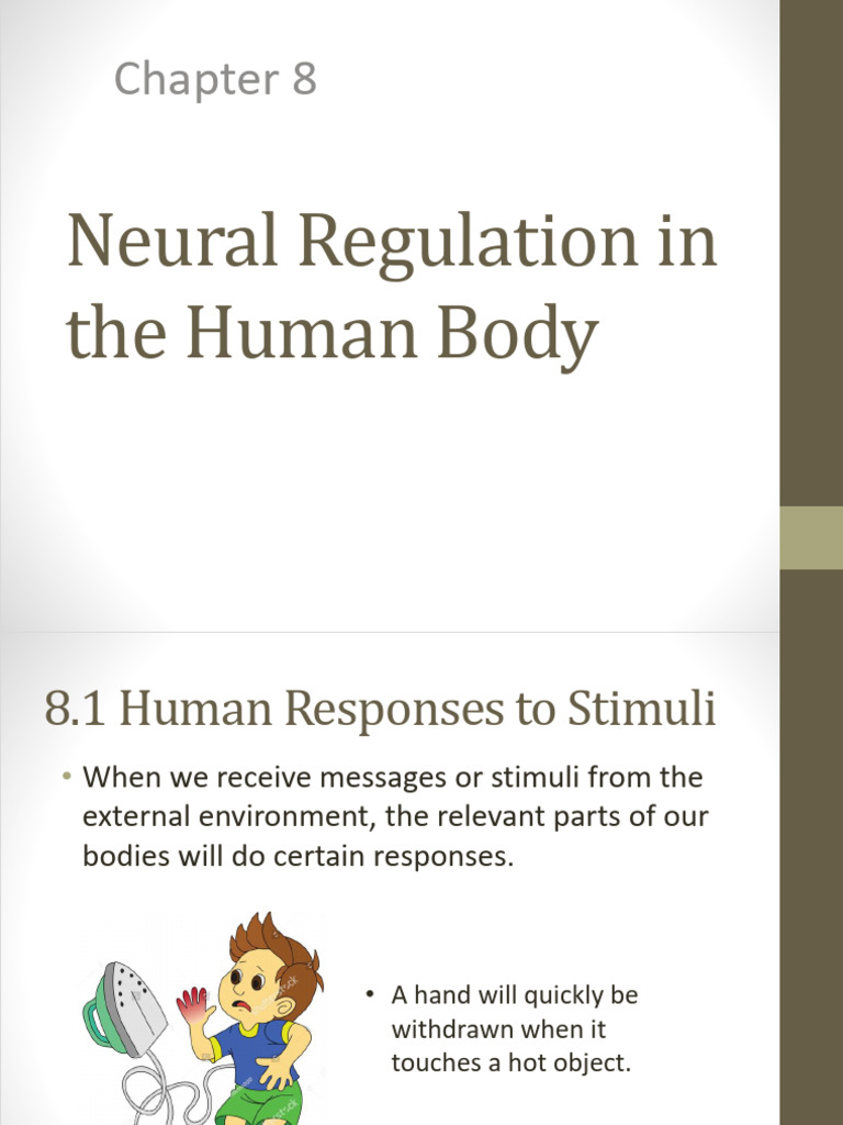 Science Book 1 Chapter 8 | PDF | Nervous System | Neuron