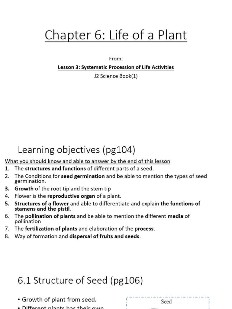 Science Book 1 Chapter 6 | PDF | Seed | Flowers