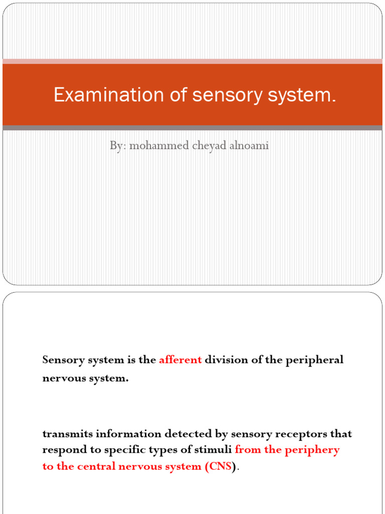 Examination of sensory systeتمm (1) | PDF | Somatosensory System | Senses