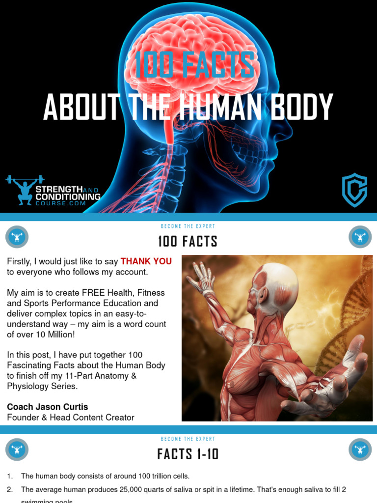 100 Fascinating Human Body Facts | PDF | Human Body | Hand