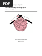 Test de Stroop Victoria : Guide d'utilisation | PDF | Attention | Vert