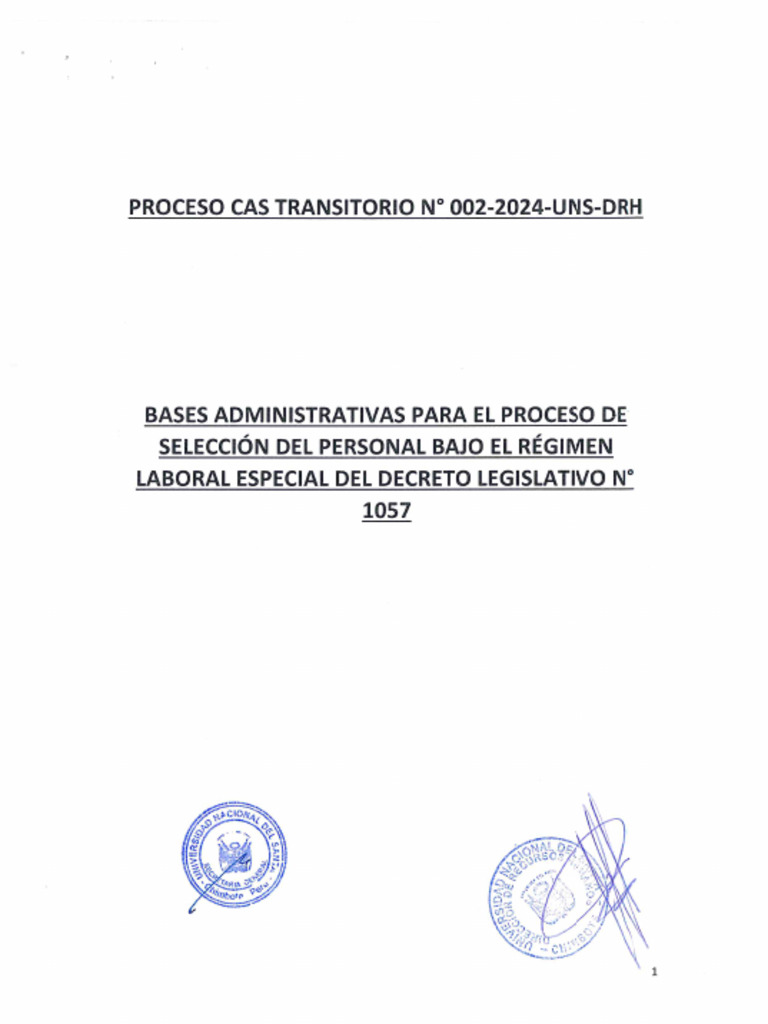 Bases CAS Transitorio | PDF