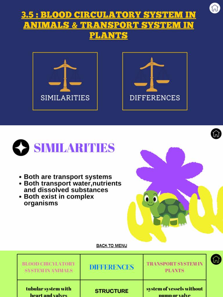 Blood Circulatory System in Animals Transport System in Plants | PDF