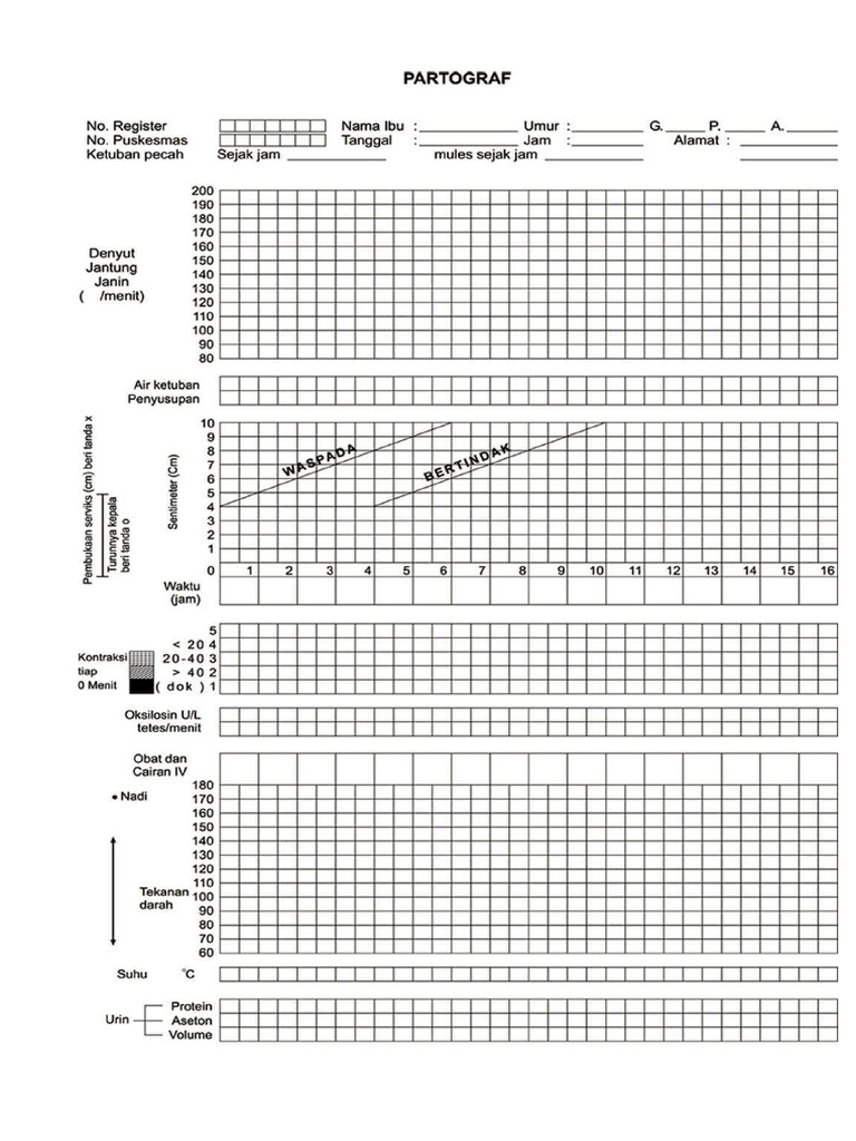 Print Partograf | PDF