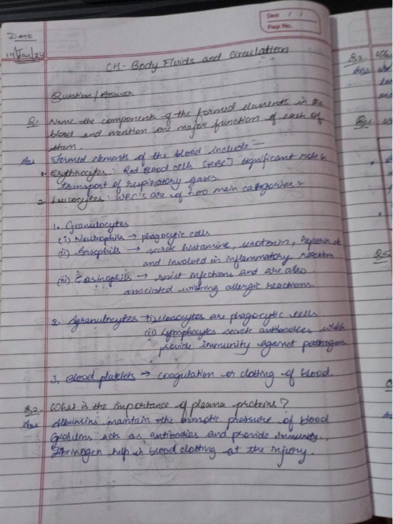 Kam KR Lo-Compressed | PDF