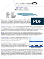 Line Size Chart: PE Rating Japanese Braid | PDF | Foot (Unit) | Outdoor ...