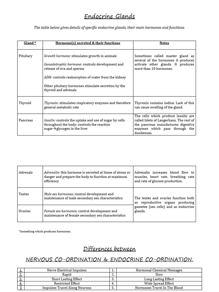 Endocrine Glands | PDF | Endocrine System | Hormone