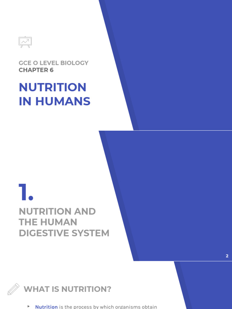 O Level Biology 6 Nutrition in Humans | PDF | Digestion | Stomach