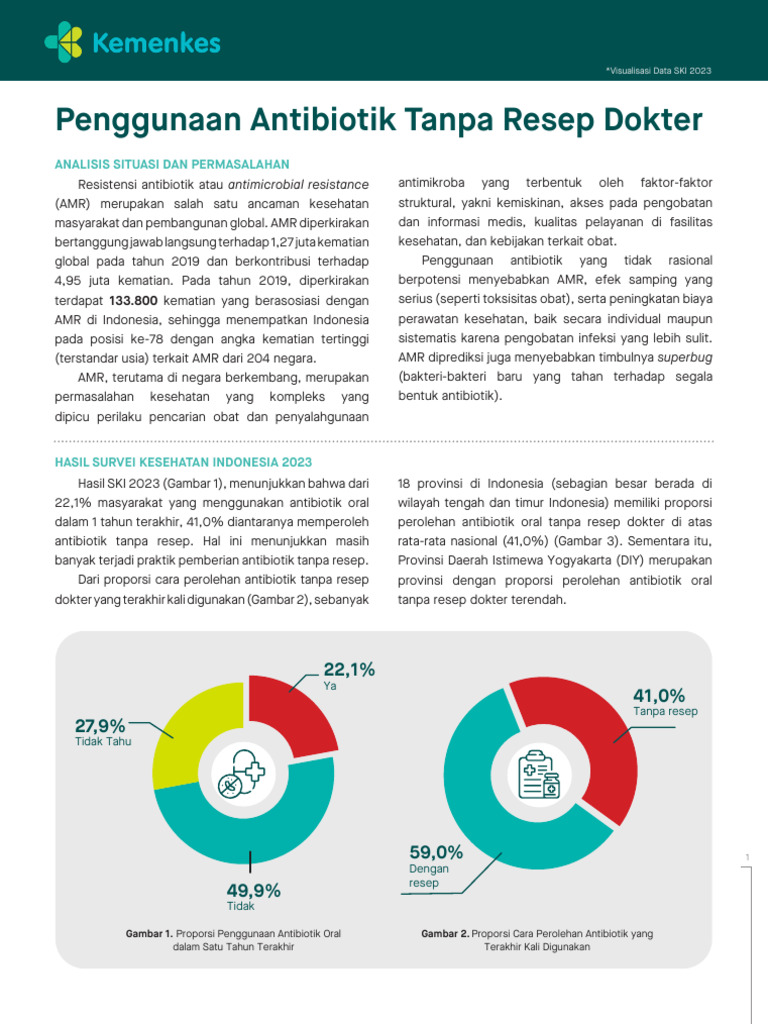 Factsheet Antibiotik | PDF