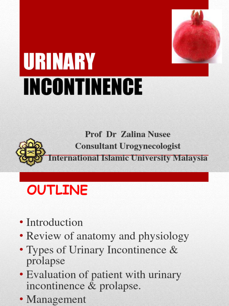 SUI Year 3 | Download Free PDF | Urinary Incontinence | Urination