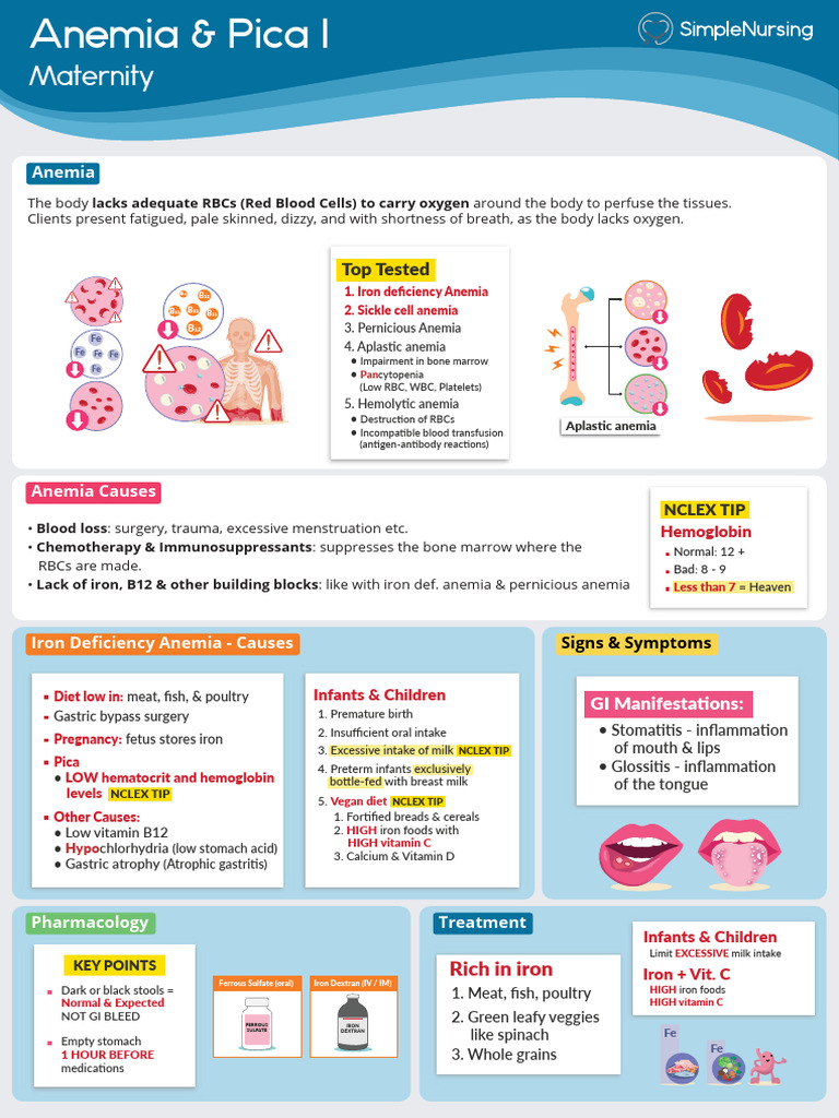 1 - Iron Def Anemia & Pica | PDF | Anemia | Vitamin B12