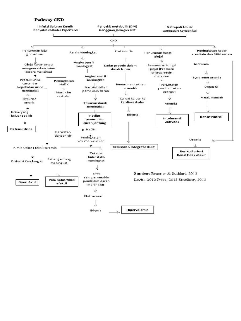 Patway CKD | PDF