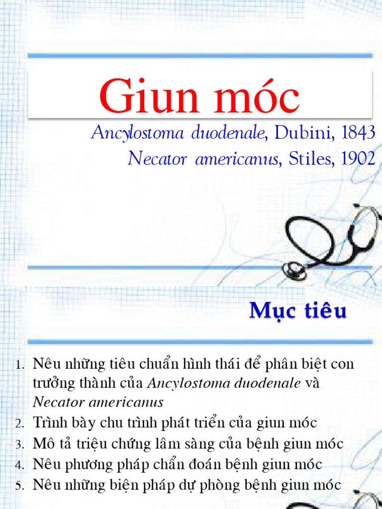 Giun Moc - Buoi 6 (2) PDF | PDF