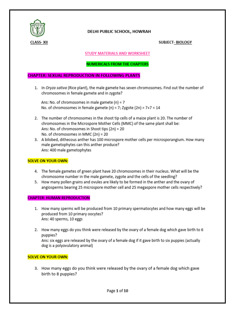 IMPORTANT NUMERICALS FROM CHAPTERS | PDF | Dominance (Genetics) | Base Pair