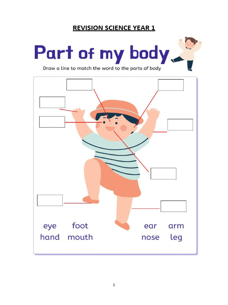 Revision Science Year 1 | PDF