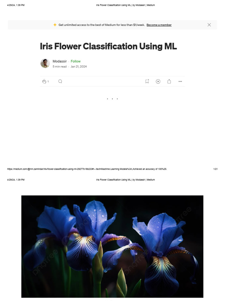 Iris Flower Classification Using ML _ by Modassir _ Medium | PDF ... Iris Flower Classification Using ML _ by Modassir _ Medium | PDF ...