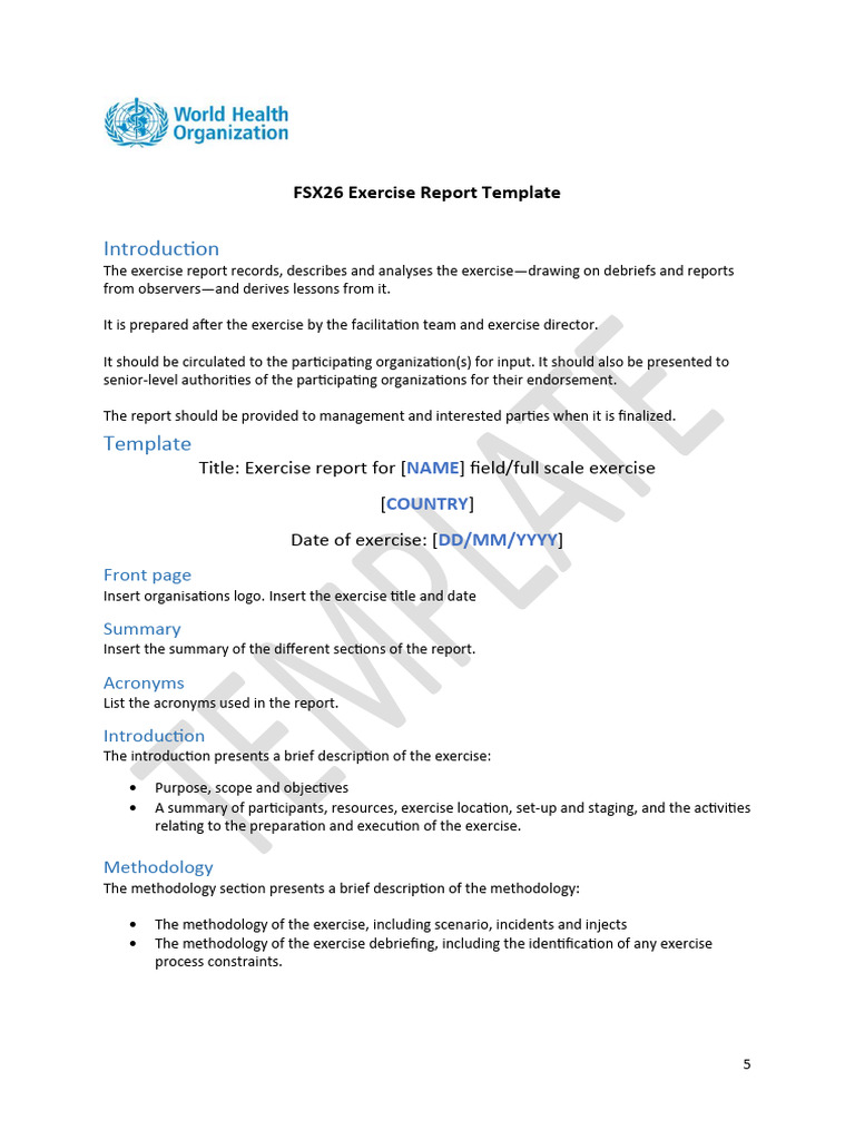 FSX 26 Exercise Report Template | PDF | Business | Finance & Money ...