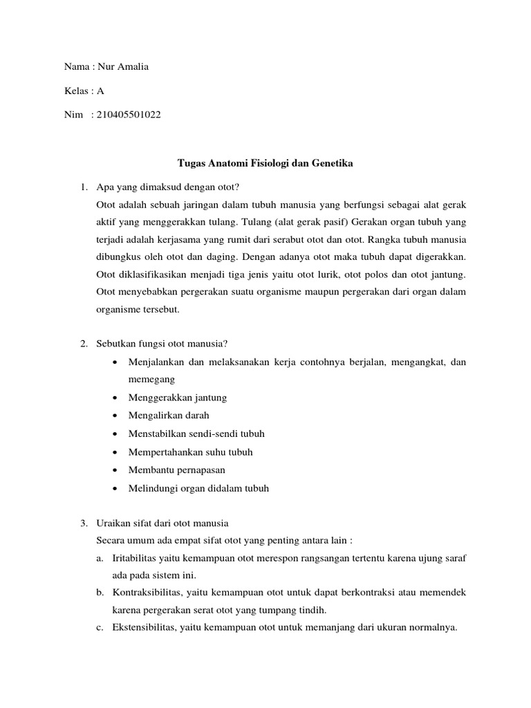 Nur Amalia - Tugas Ke 3 | PDF