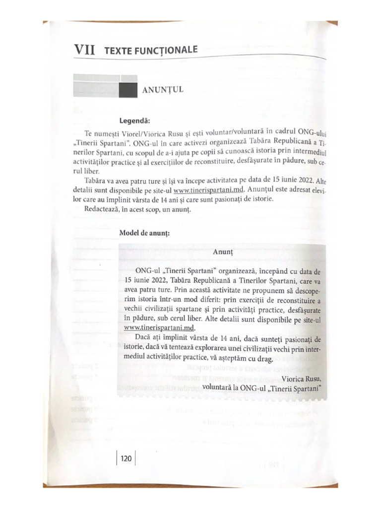 Vii Texte Functionale | PDF