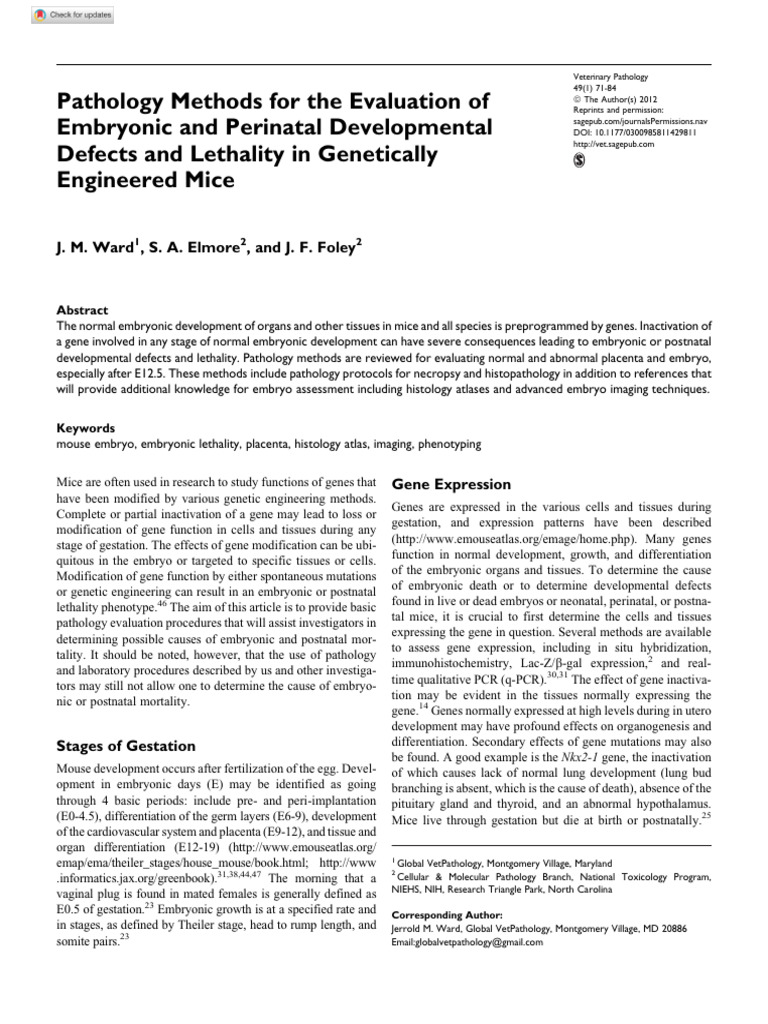 Pathology Methods for Mouse Embryo Evaluation | PDF | Placenta | Heart ...