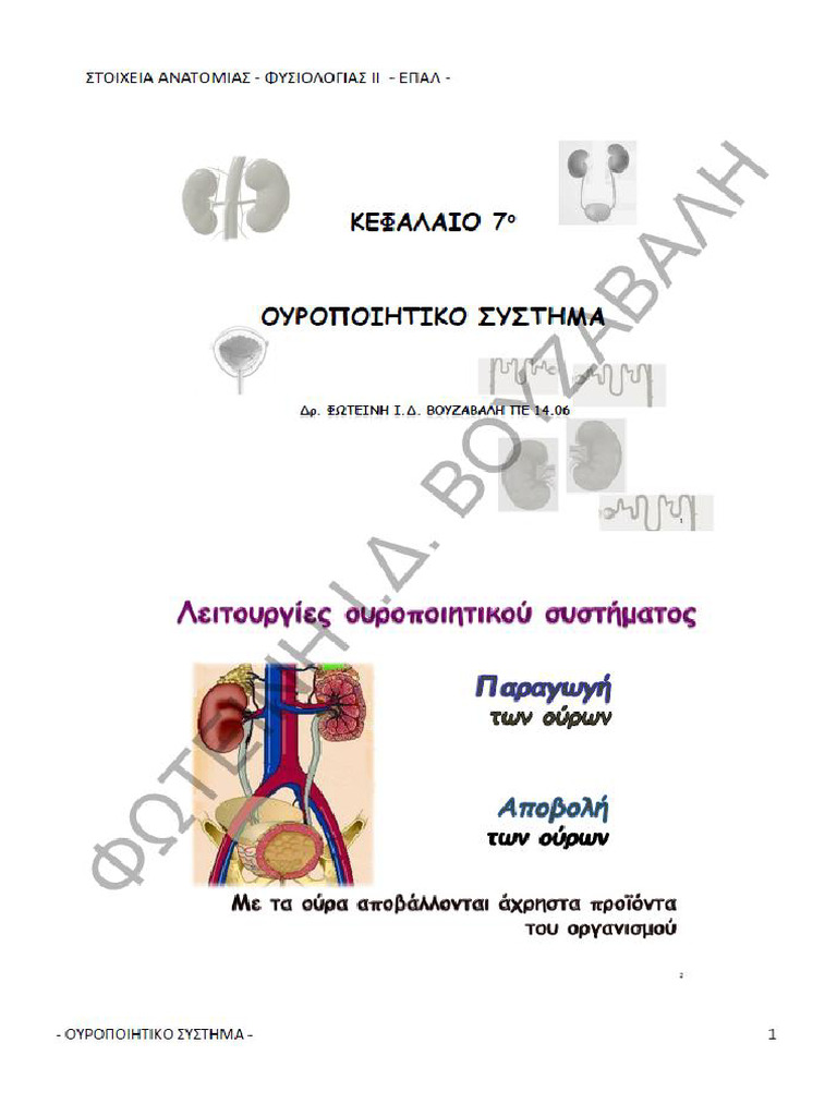 Kef 7 Ouropoihtiko Systima | PDF