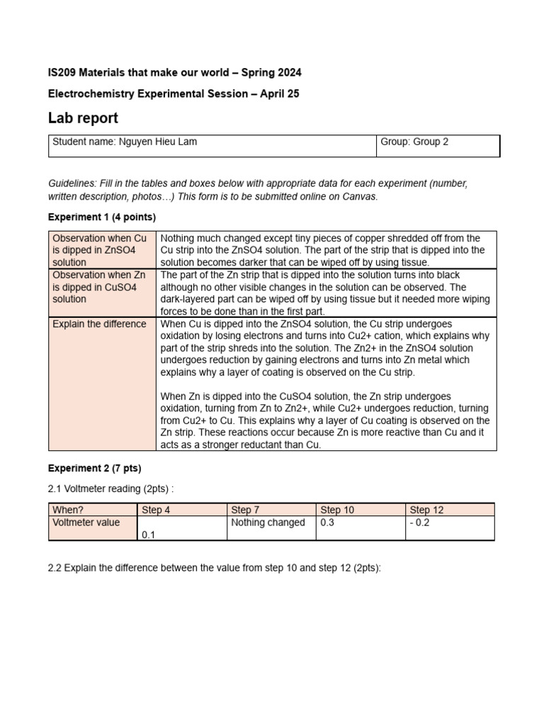 Lab Report Form - IS209 | PDF | Anode | Cathode