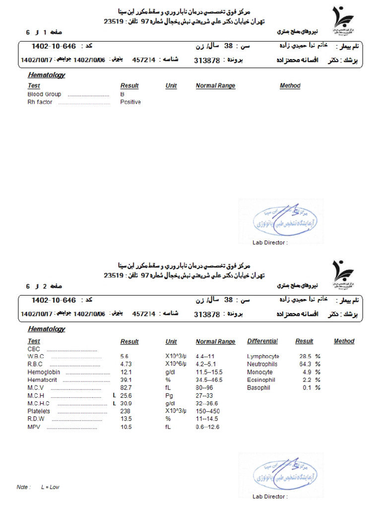 Lab Report | PDF