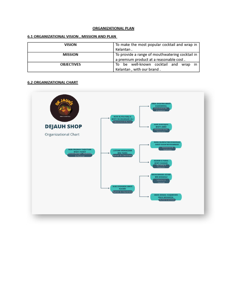 Organizational Plan | PDF | Marketing | Business