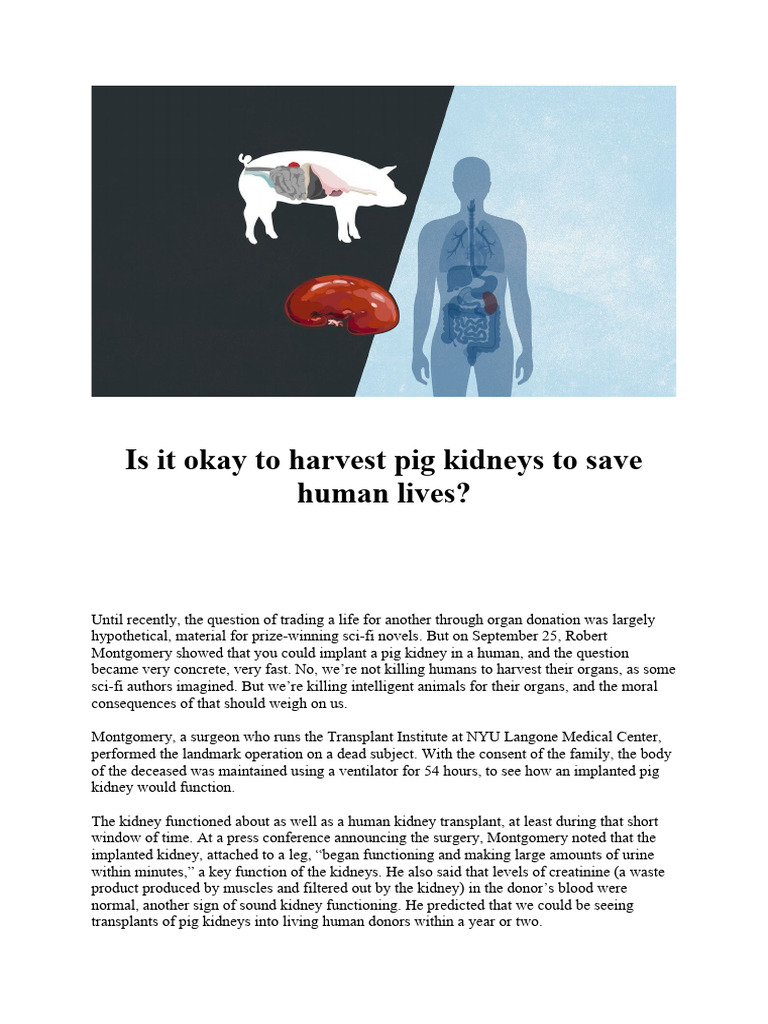 Is It Okay To Harvest Pig Kidneys To Save Human Lives | PDF | Kidney ...
