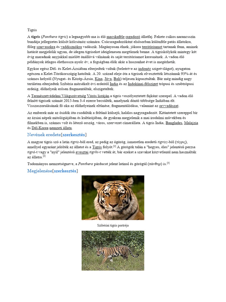 Tigris | PDF