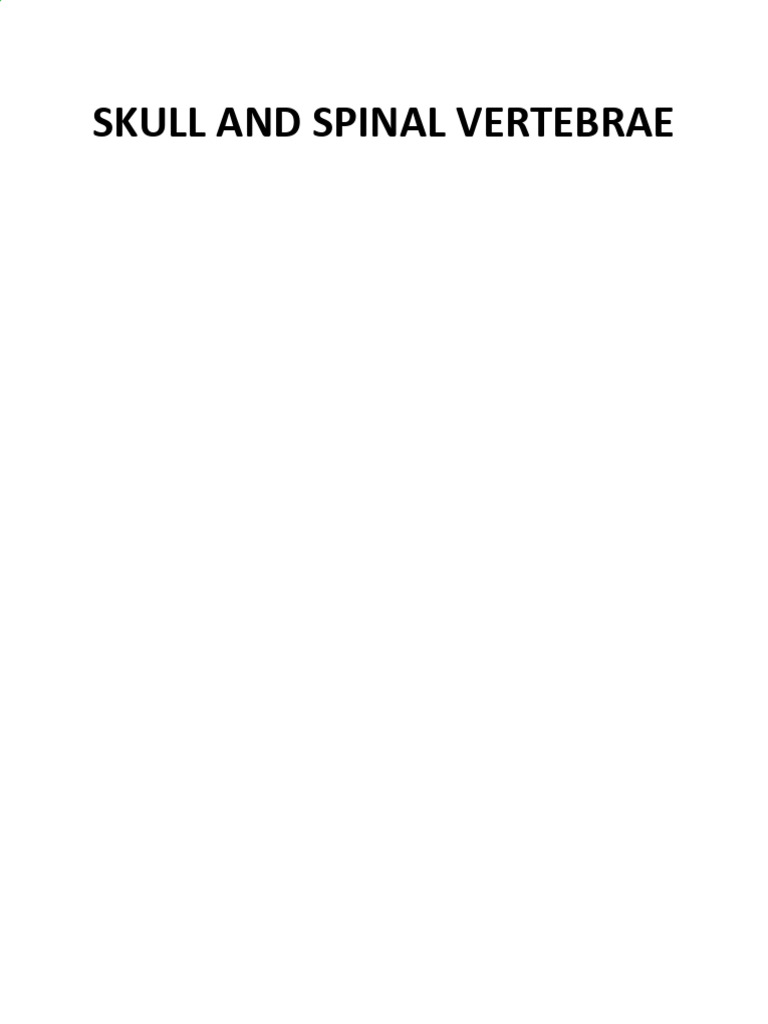 Bones Ana Lab Compilation | PDF