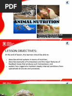 Ruminant and Pseudo-Ruminant Digestive System | PDF | Home & Garden ...