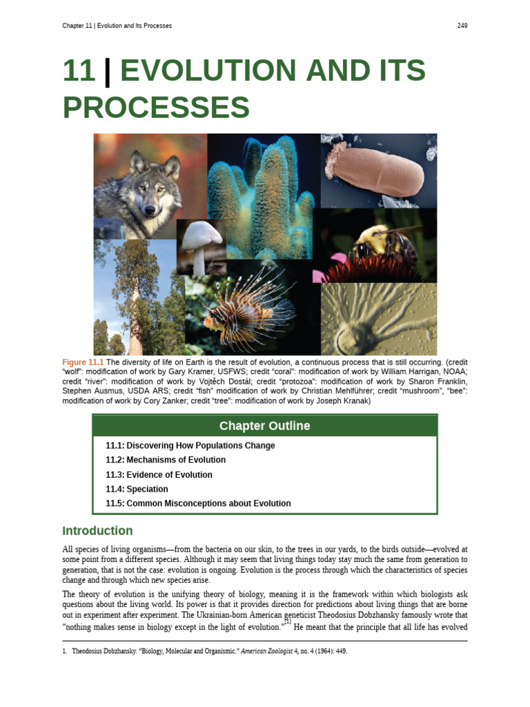 Evolution Chapter - Concepts of Biology | PDF | Evolution | Natural ...