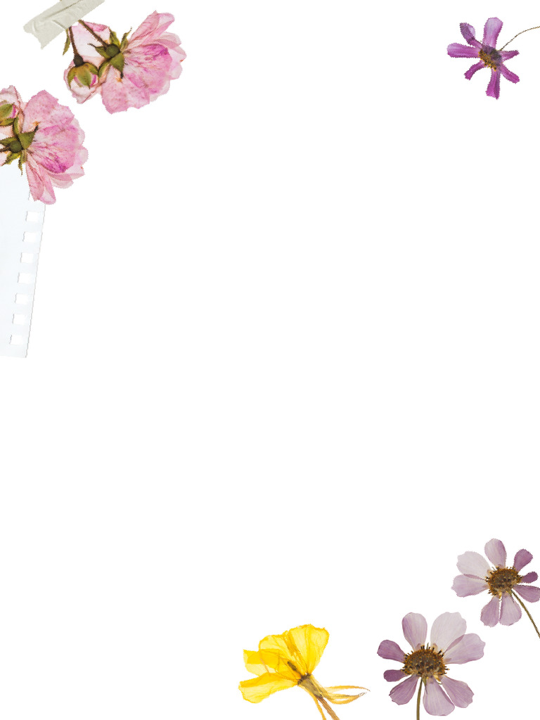 Feminine Pressed Flowers Page Border | PDF