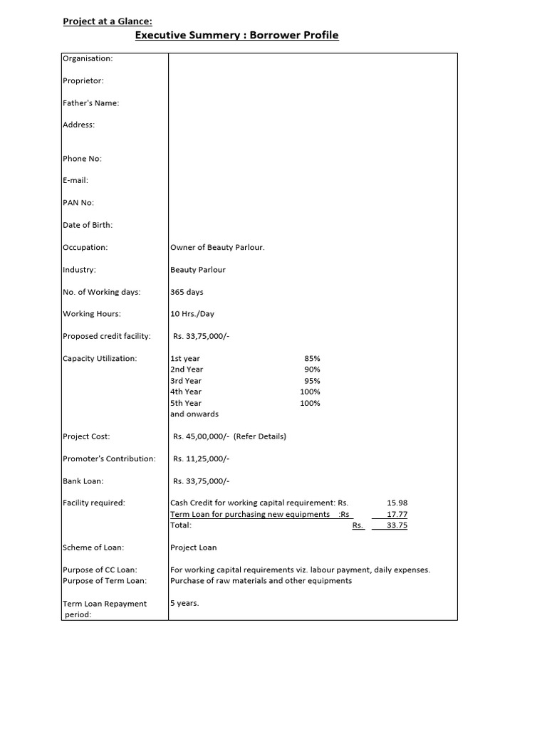 Project Report Beauty Parlour | PDF | Debt | Interest