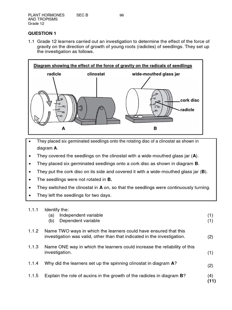 8-Gr 12 PLANT HORMONES & TROPISMS SEC B | PDF | Auxin | Plant Hormone