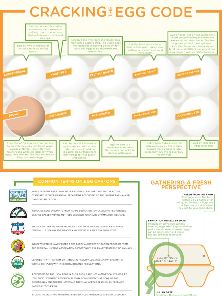 Egg Labeling InfographicPrint | PDF | Food Industry | Agriculture