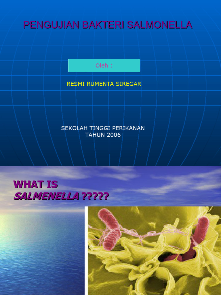 SALMONELLA Presentation | PDF | Salmonella | Microbiology
