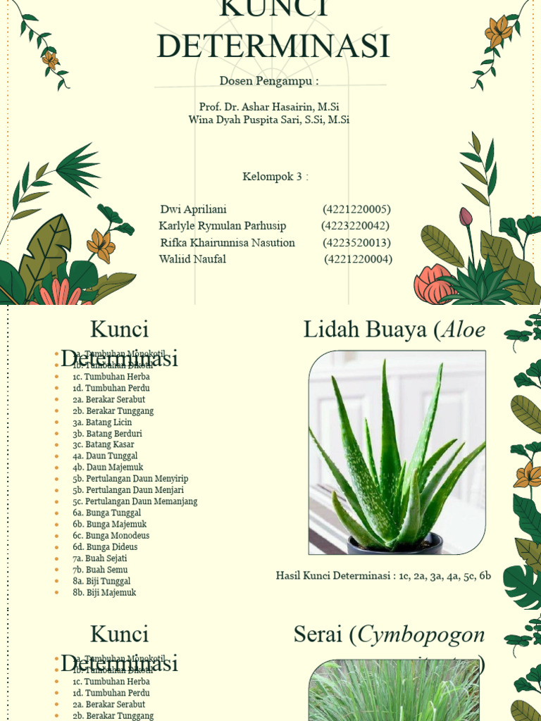 Kelompok 3 - Kunci Determinasi | PDF | Griya & Taman