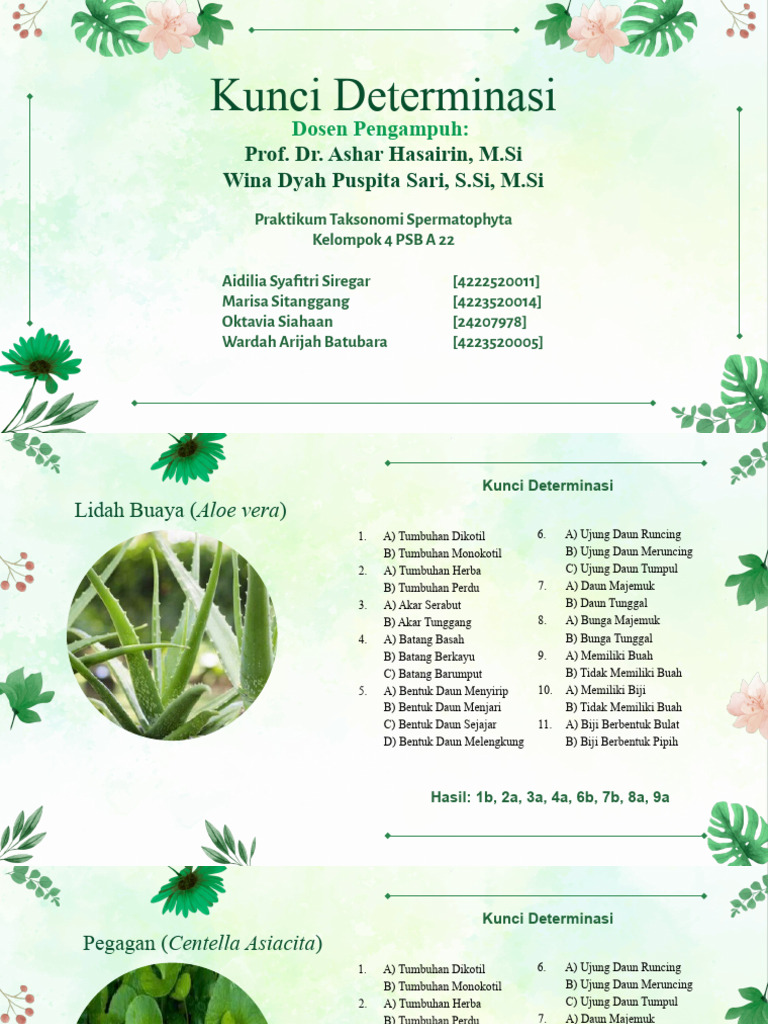 Kunci Determinasi Tumbuhan Monokotil | PDF