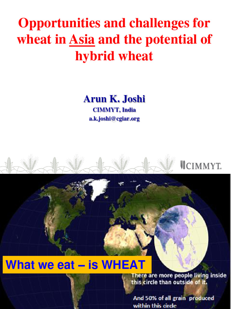 Dr. Arun K. Joshi Opportunities Challenges For Wheat in Asia and The Potential of Hybrid Wheat ...