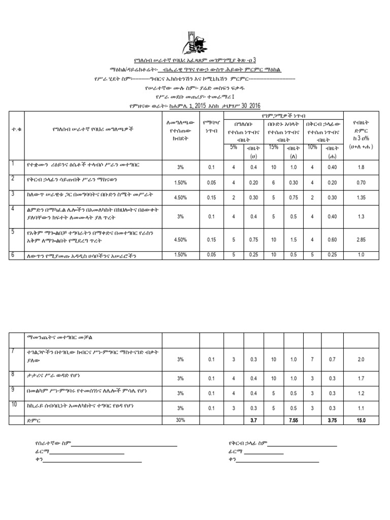 BSC Performance 30% 2016 | PDF