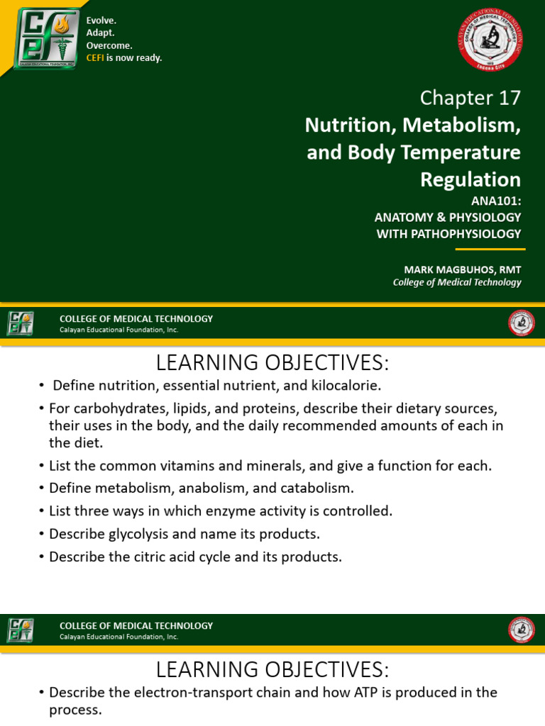 Chapter 17 - Nutrition, Metabolism, and Body Temperature Regulation 2 | Download Free PDF ...